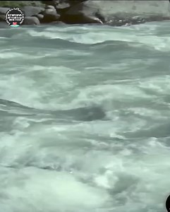 Ye dil Tum Bin Kahin Lagta Nahin Hum Kya Kare | Movie : Izzat | Singer : Lata Mangeshkar Mohammad Rafi | Music : Laxmikant Pyarelal | Lyrics : Sahir Ludhianvi | Star Cast : Dharmendra, Tanuja | कभी तन्हाईयाँ में यूँ हमारी याद आएगी