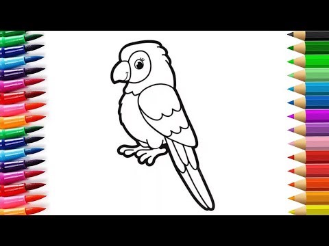 How to draw flying rainbow bird's drawing easy step by step with colour || Bird 🐦 drawing easy way