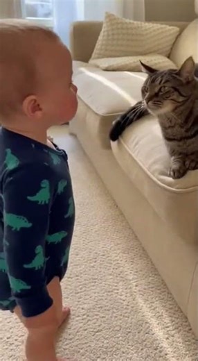 Tiny Boss Scolds Kitty 🐱| Baby Bee #baby #Cutebaby
