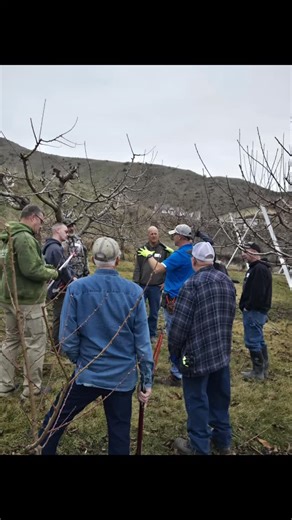 The 2026 "Art of Pruning" courses are complete. 68 new students went through our course and are ready to tackle those Home Orchard trees. Very grateful to my pruning team teachers our Sponsors at Wilbur-Ellis in Caldwell and Candy and staff at Emmett Idaho Pizza Company for hosting. I Love sharing my knowledge of Pruning and meeting these wonderful people who LOVE growing their own food!!!! #pruning #PruningTips #AdultEducationMatters #pruningtrees | Gem Orchards