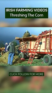 Threshing the Corn... Can anyone remember the thresher coming to the farm? It was one of the biggest day in the farming year and dozen of people would gather to get the corn threshed. | Videos of Irish Farming Life