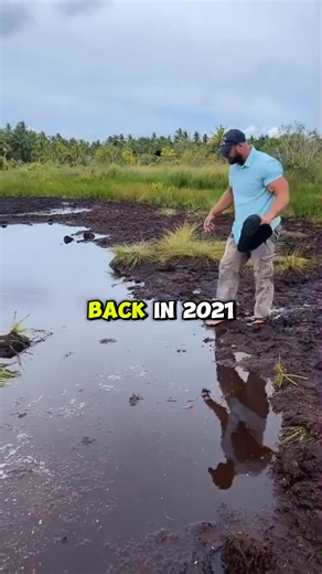 Did you know a quiet relief program is now helping homeowners cover the full cost of new energy-efficient windows? It’s called the Home Efficiency Relief Program and it’s catching contractors off guard. The shocking part? It’s practically no cost if your home qualifies. You see, the incentive was approved to fight rising utility bills by rewarding households that reduce wasted energy. If your current windows are cracked, foggy, or older than ten years, you could qualify to have replacement costs