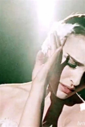 Exploring the Beauty of Swans: A GIF Compilation