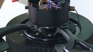 Watch Ceiling fan light installation video on Amazon Live