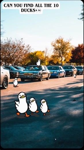 can you spot all the 10 ducks 👀 👀 .
