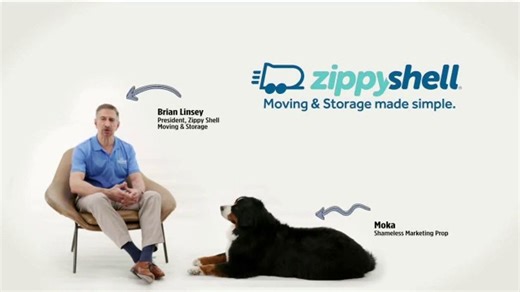 Zippy Shell TV Spot, 'Moving Horror Stories'