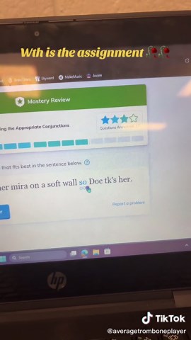 Understanding School Assignments and Student Experiences