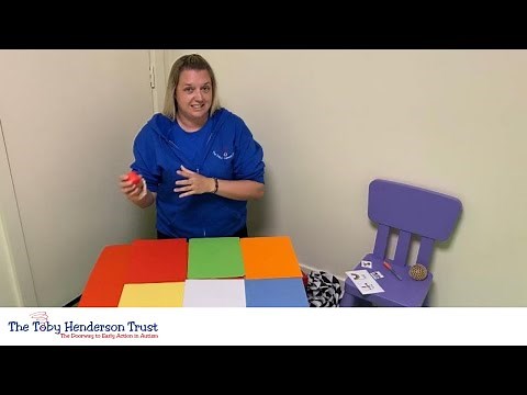 Colour Matching Adult-led Activity