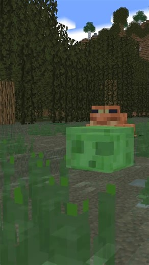 Slime Vibes - Minecraft Animation