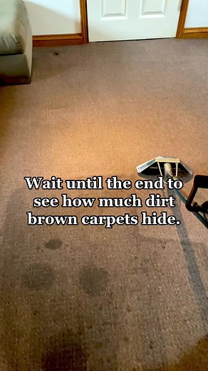 Unveiling the Filth: Transformative Carpet Cleaning Reveals Hidden Dirt