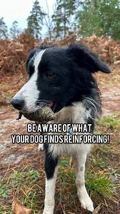 11 reactions | What is Reinforcement? Reinforcement is anything that...