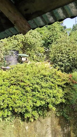 Rishop Home tour Part 6 | Annwesha Kundu | Facebook