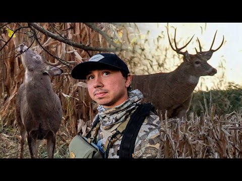 First Mature Buck Encounter | Pre Rut Hunting in Iowa