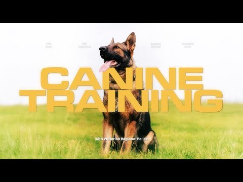 Behind the Scenes of the Police Canine Training Course