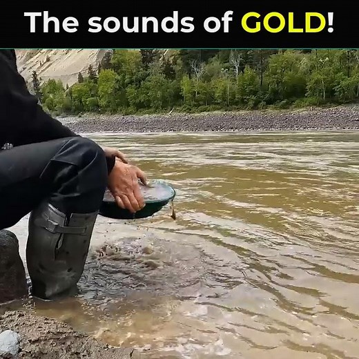 The sounds of GOLD!