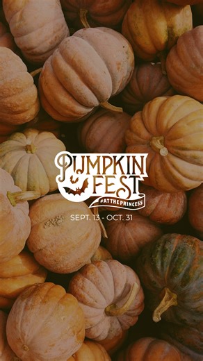 Opening night of Pumpkin Fest at the Princess is just two weeks away! Right now, thousands of pumpkins are rolling in, the 65-foot bounce pad is stretching into place, and the Spookeasy is getting ready to pour its first round. Soon fire tables will flicker, Ghost Blasters laser tag will test your aim, and families will wander through 300,000 square feet of autumn wonder. Every day the desert looks a little more like fall. And soon, the fun begins. https://bit.ly/4jQmQpS | Fairmont Scottsdale Pr