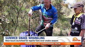 4.2K views · 27 reactions | A Sunshine Coast snake catcher is now offering reptile fans the chance to come out with him as he wrangles and releases the slithery creatures  | Sunrise | Facebook