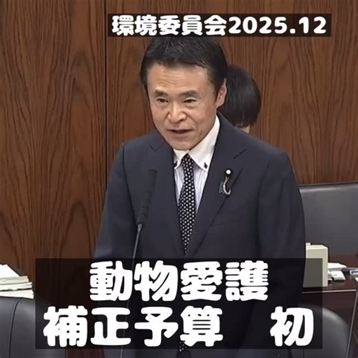 串田誠一 | 【動物愛護 初の補正予算】（環境委員会2025.12） 素直に歓迎したい。 保護活動や動物実験の代替法などに更なる支援を！ アニマルウェルフェアにも！ #動物はモノじゃない | Instagram