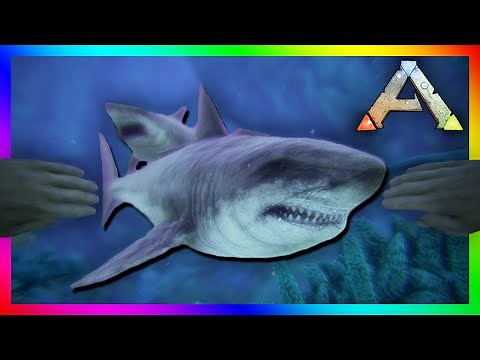 HUNTED BY A MEGALODON! | ARK: Survival Evolved | Episode 6