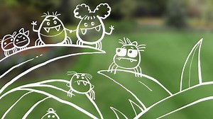#Newhomeowners- Pesky pests not only can wreak havoc on your lawn, but they can also be harmful to your family and beloved pets. Watch our video to see how TruGreen can help safeguard your yard and keep your loved ones safe. For more information on our TruShield Lawn Pest Control program, visits our site: http://bit.ly/2JZ2Gdt | TruGreen