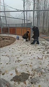 Automated Horse Walker System | Remote Control Hot Walker Installation & Operation - DB Stable