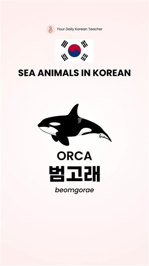 Learn How to Say Fish and Sea Animals in Korean