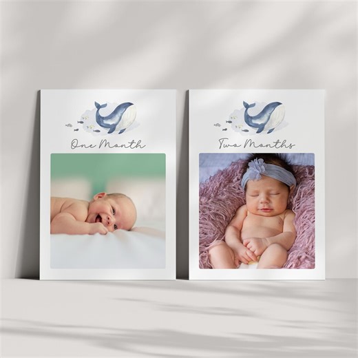 Whale Birthday Monthly Photo Banner : Under the Sea Themed Party (instant Download, Editable/printable Template) #H005 - Etsy New Zealand