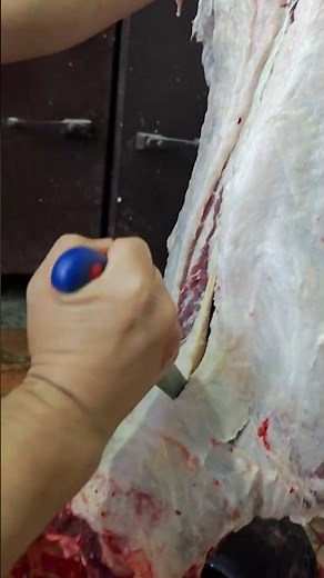 Cut Meat Like a PRO Butcher! 🔪 (Amazing Knife Skills)