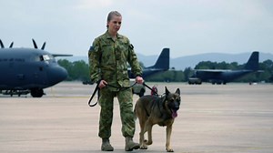 2.6K views · 66 reactions | Teamwork and consistent training: two things that Air Force Security and Australia's best swimmers have in common. Find out what else with the full video on our website now. @Giaan Rooney @Commonwealth Games Australia #GC2018 https://goo.gl/WgPCP7 | ADF Careers | Facebook