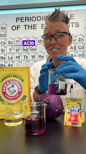 8.3K views · 145 reactions | Red Cabbage For Checking Acidity of Everyday Materials at Home! #Chemistry Red cabbage contains anthocyanins, which change color based on pH. In acidic solutions, it turns red/pink; in neutral, it stays purple; and in basic solutions, it turns green/yellow. #ScienceatHome | Chemical Kim | Facebook