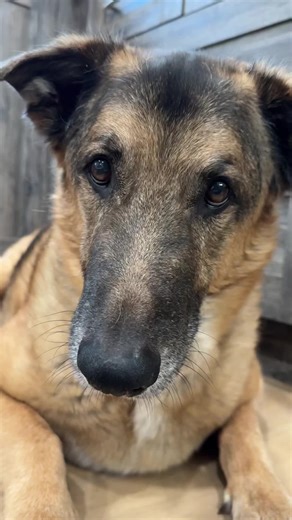 Fun Word Games: Pronouncing English Words