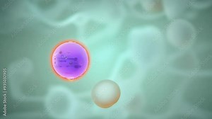 Exploring molecular structures and their significance to chemistry in a detailed animation on modern science