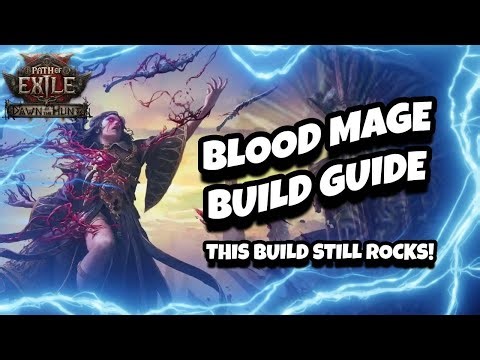 POE2 Dawn of The Hunt Blood Mage Build Guide - Standard Variant