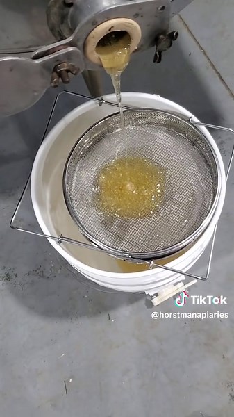 Horstman's Homestead on TikTok