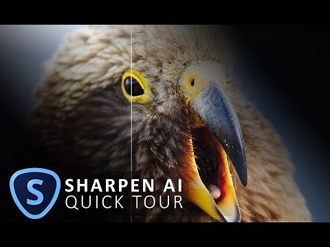 How to use Topaz Sharpen AI
