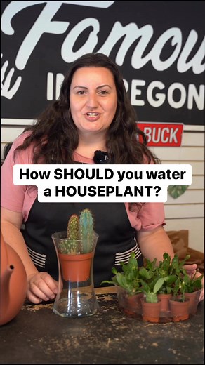 83K views · 1.7K reactions | There are no plants that NEED bottom watered or NEED too watered. It’s good to avoid hitting the leaves of some plants, but no plant will decline from being watered from the top, or the bottom. Your only goal when watering is to give them a full soak! #plantsmakepeoplehappy #plantsplantsplants #houseplants | Tanner The Planter | Facebook