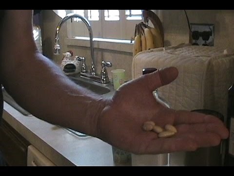 episode020 making almond extract