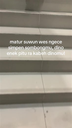 pidd.rapiddd on TikTok