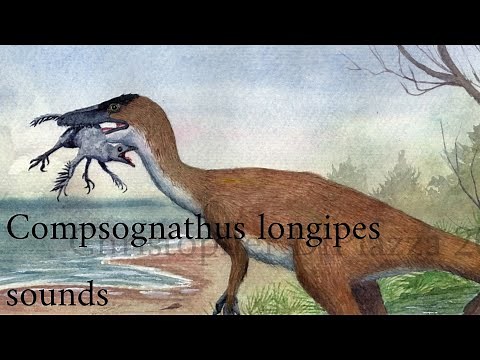 Dinosaur sound effects - Compsognathus longipes