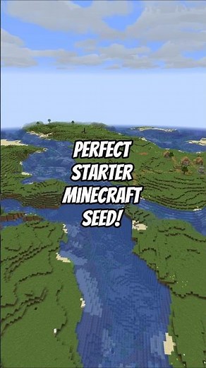 This Could Be The BEST STARTER SEED For Java 1.21.11