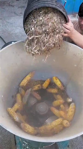 #Pellet machine#Feed pellet machine Biomass pellets, fruit box pellets | New Tecnology