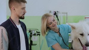 Adult man brought dog to veterinary clinic for examination. young veterinarian doctor conducts an examination, stroking pet. Checking pets at veterinary clinic. doctor diagnoses dog in hospital