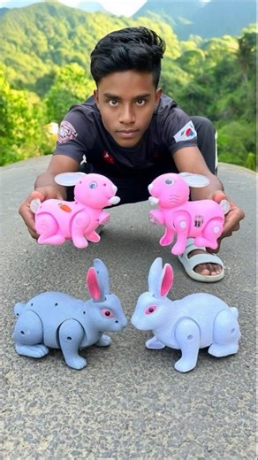 4 Ta Mini And Big Rabbit 🐇 Unboxing Animals Toys video 🔥