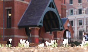 Infectious Disease Certificate