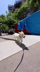 6.7K views · 971 reactions | Hey Fred Fam! We haven’t received the...