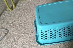 11K views · 193 reactions | Self loading laundry basket | Funny Now | Facebook