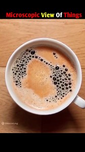 Thing's under microscope #reelsfbシ #reelsvideo #reelsfb #facts #reels | Veritas Vortex