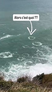 Qu’est-ce que c’est ?? #surf#surfing#surftips | Online_surf_progress