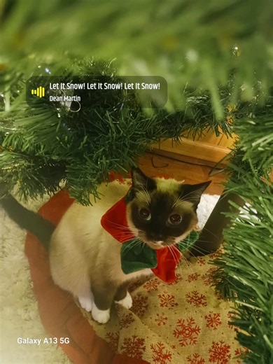 Tonya Moore on Reels | Facebook