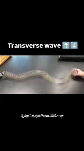 Longitudinal vs Transverse Waves